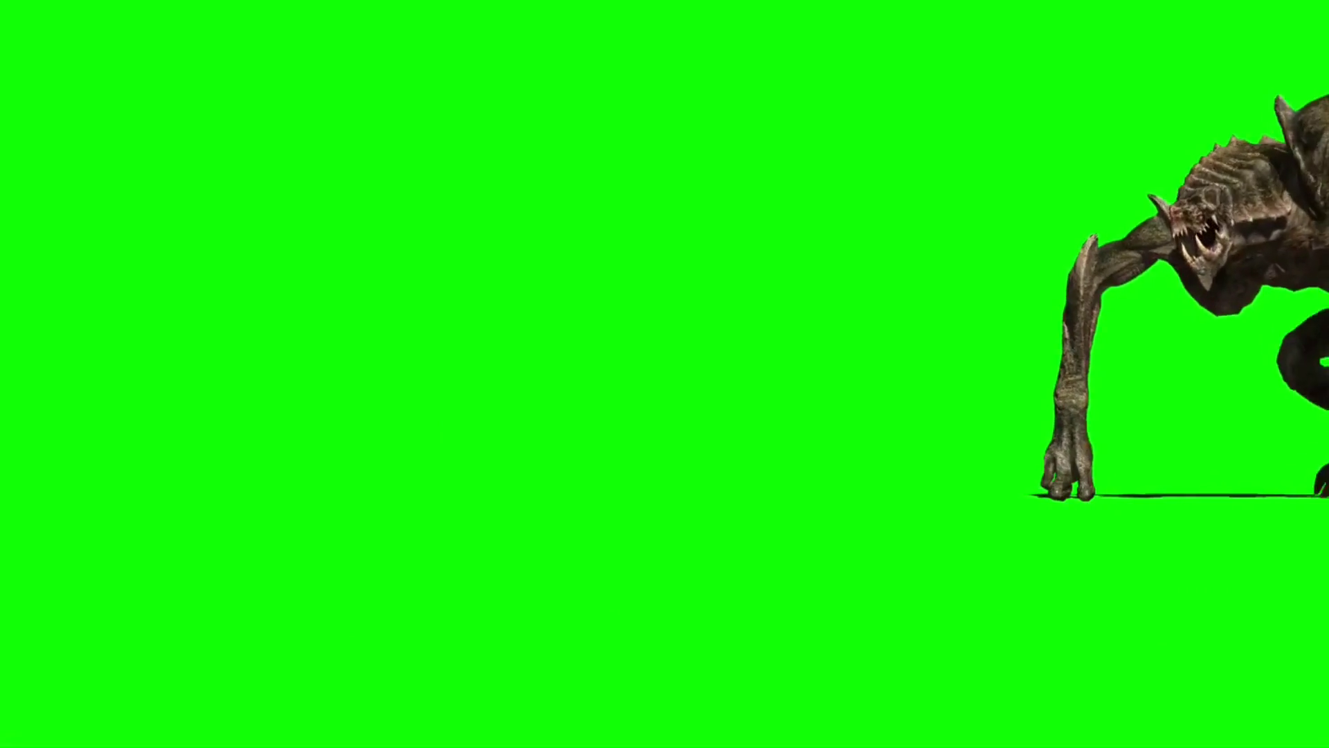 Monster Attacking On Green Screen 3 Stock Motion Graphics SBV-347559987 ...