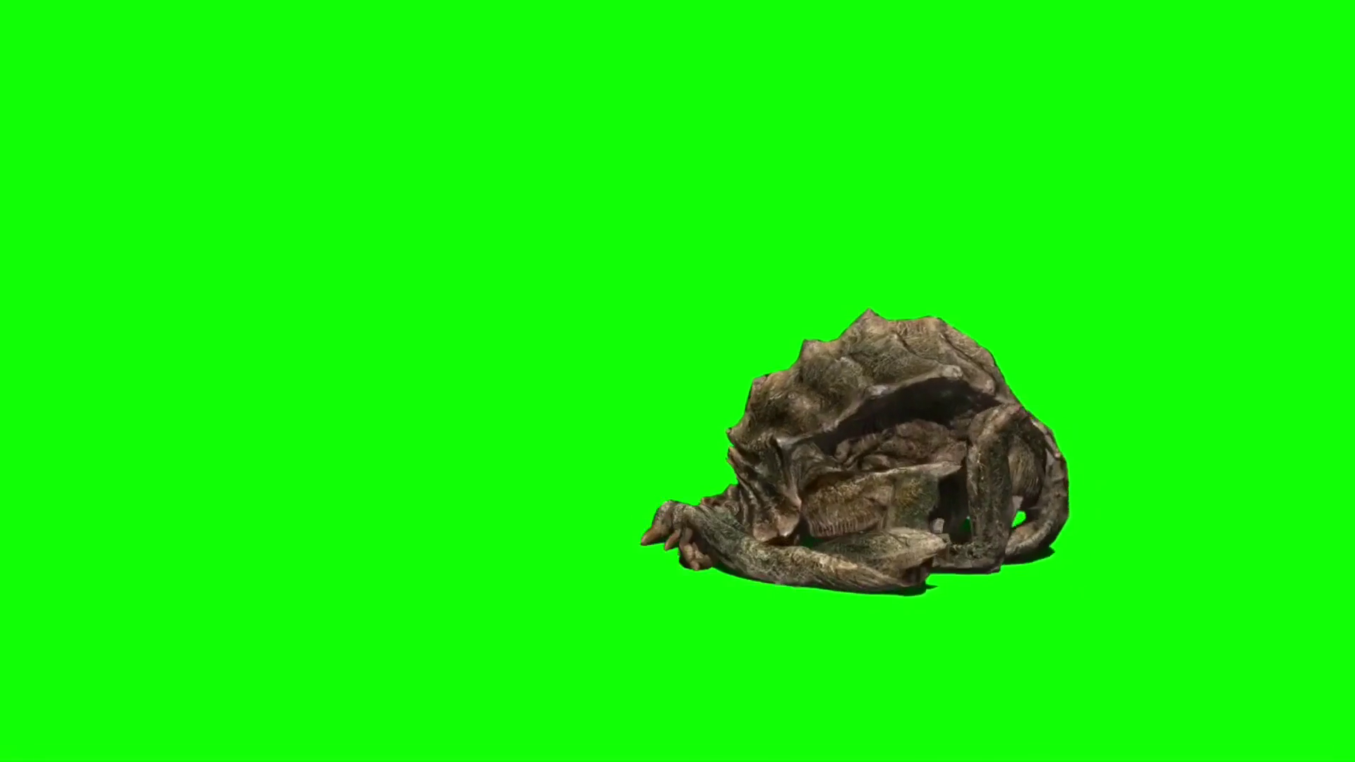 Monster Roaring On Green Screen 2 Stock Motion Graphics SBV-347559998 ...