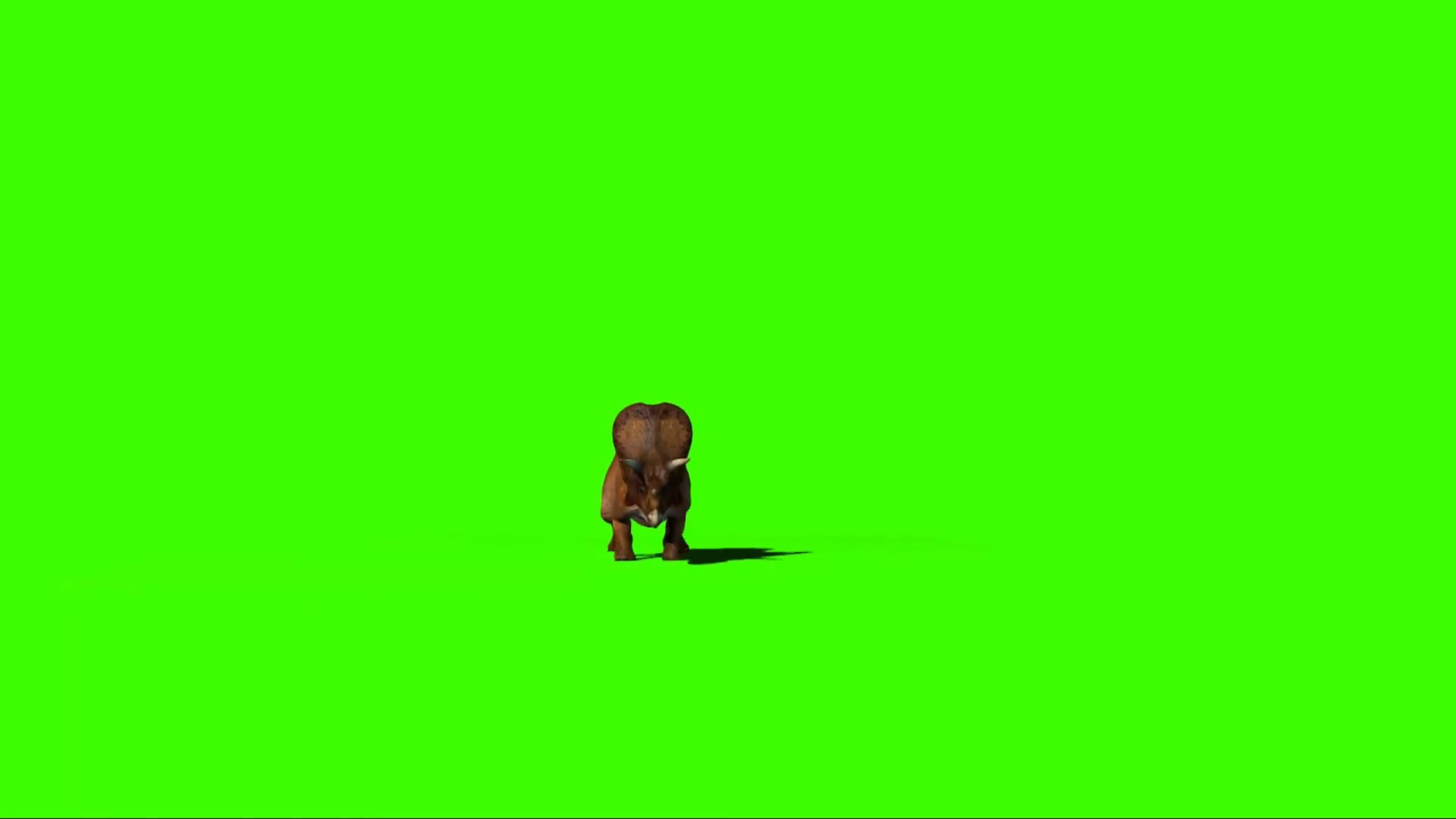 Triceratops Running On Green Screen 03 Stock Motion Graphics SBV ...