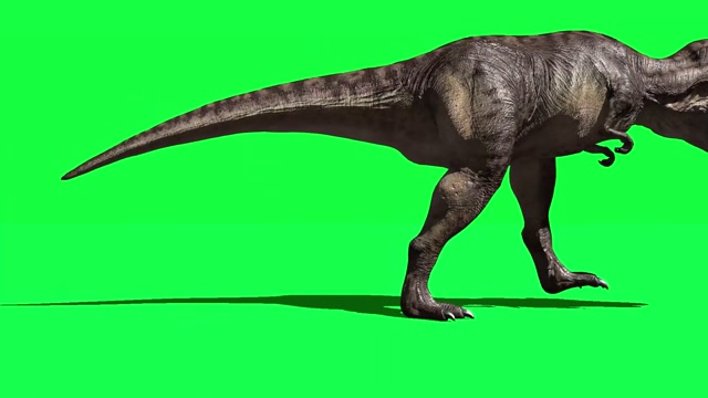 Dragon Green Screen | Colors motion backgrounds - Storyblocks