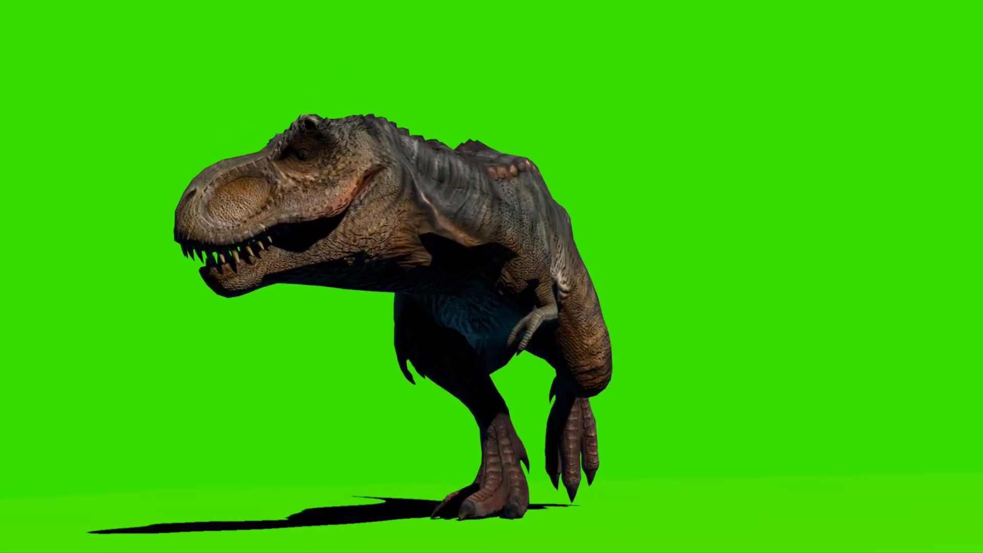 Tyrannosaurus Rex Walking On Green Screen 29 Stock Motion Graphics SBV ...