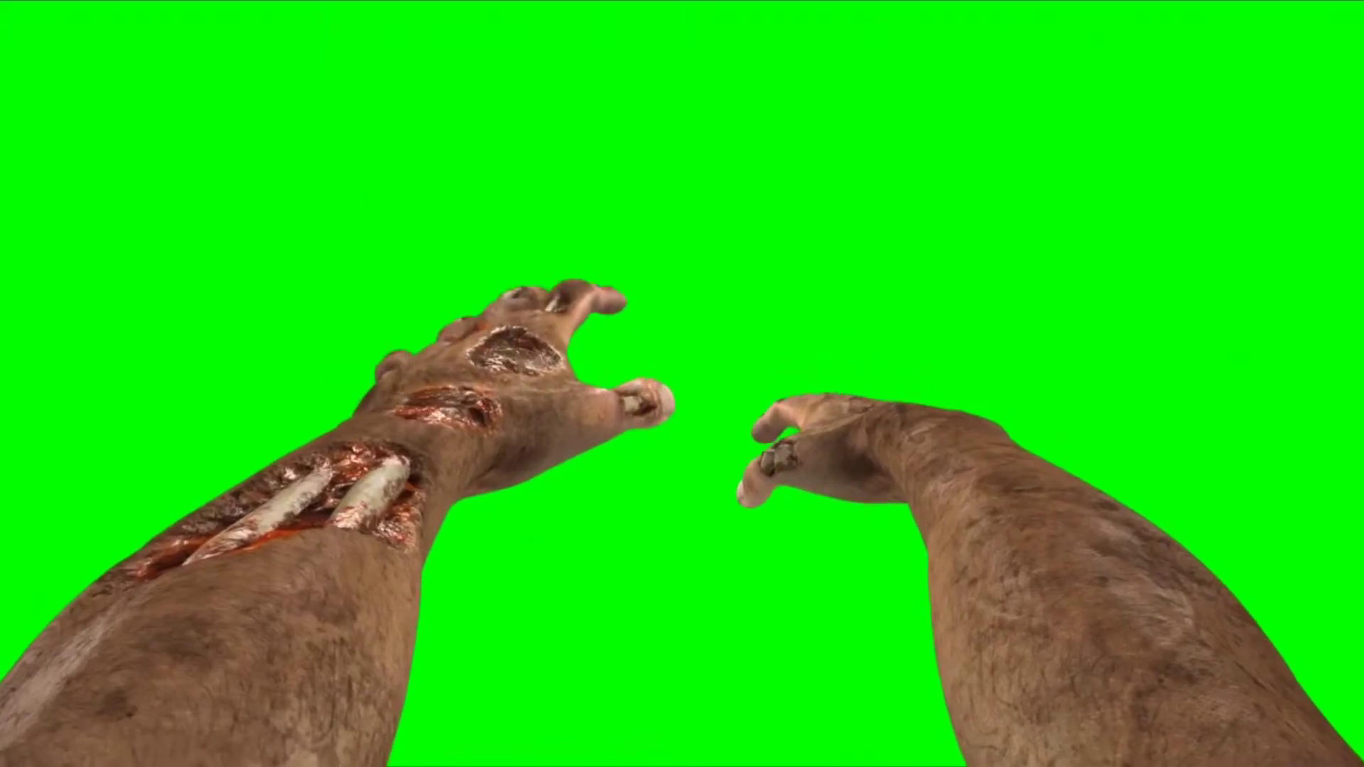 Zombie Hands On Green Screen 10 Stock Motion Graphics SBV-347560092 ...