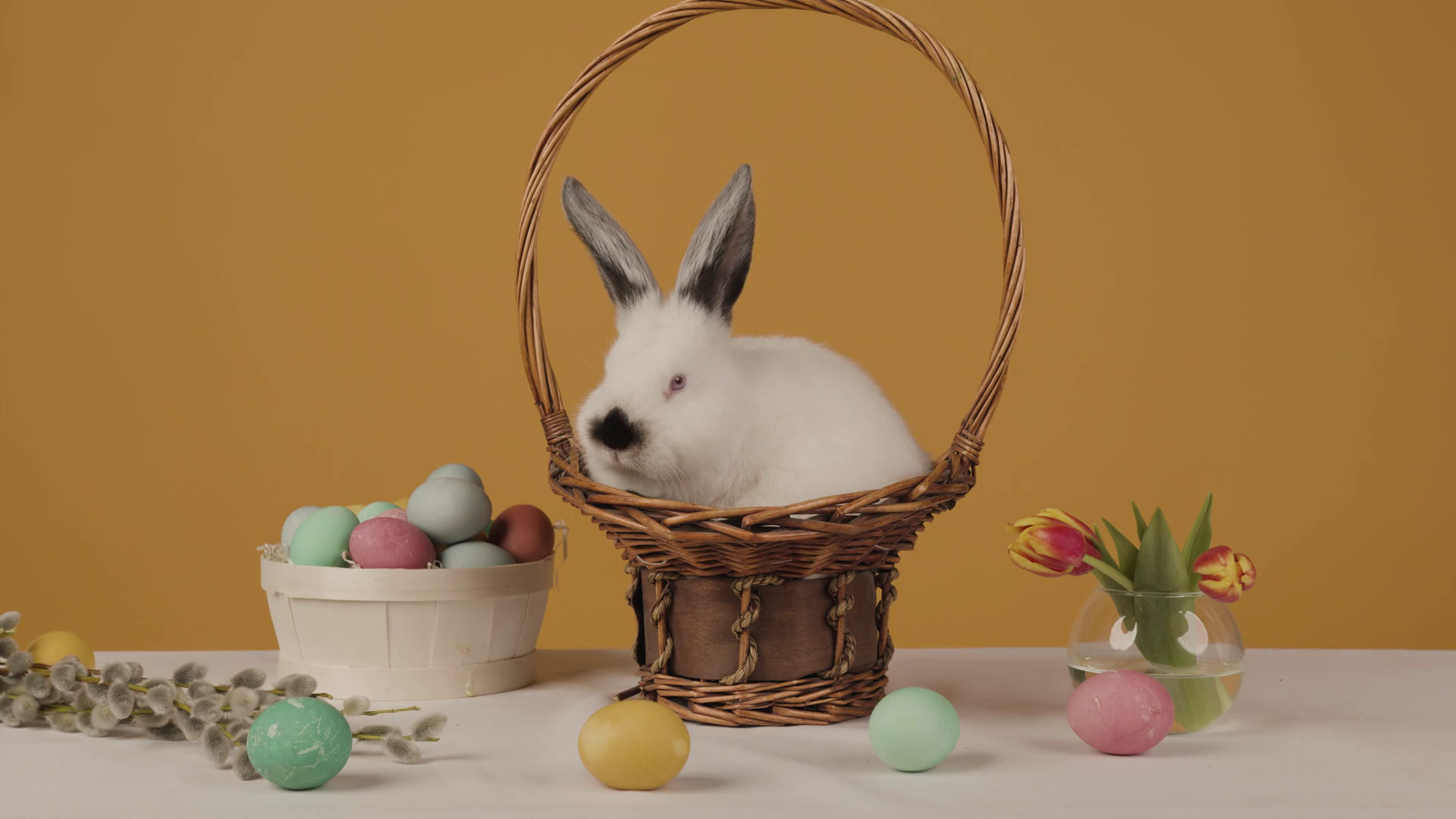 Adorable Bunny Rabbit With Eggs In Basket On Stock Footage SBV ...