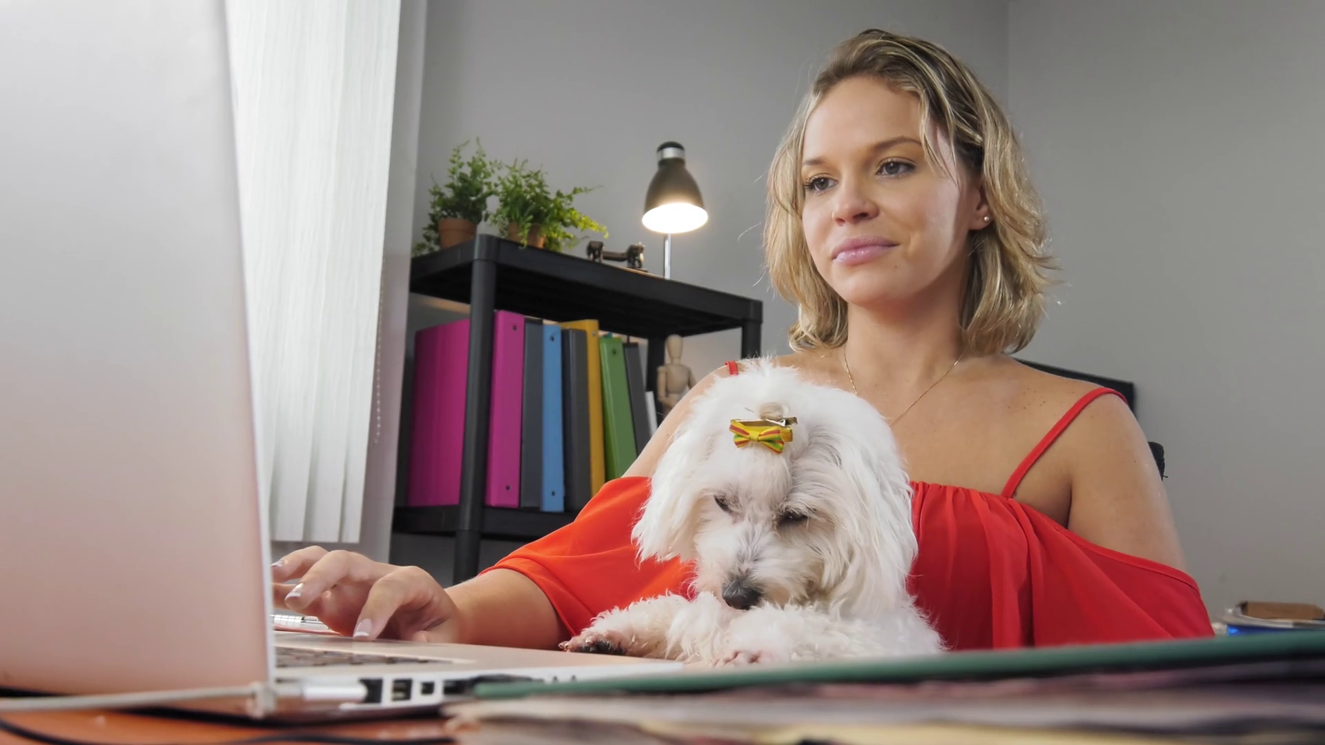 2-business Woman Holding Dog During Skype Stock Footage SBV-308065457 ...