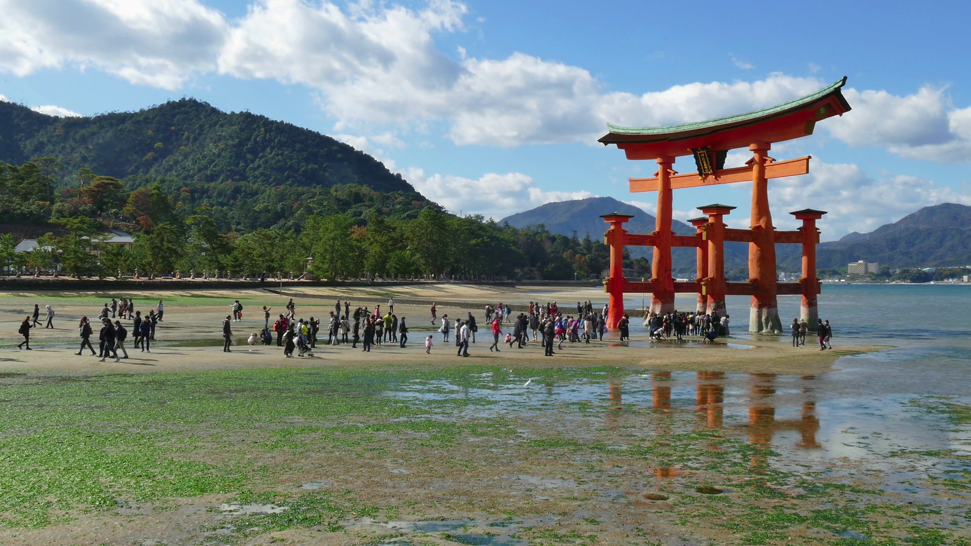 Itsukushima Shrine, a UNESCO World Heritage Site popularly known as ...