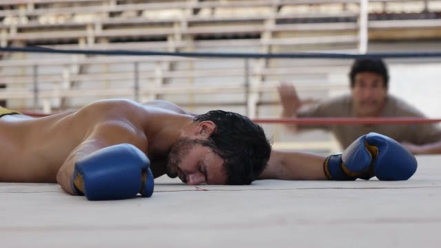 Boxing Knock Out Stock Footage: Royalty-Free Video Clips - Storyblocks