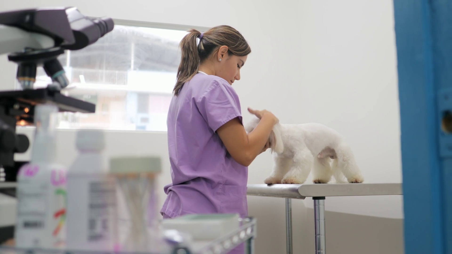 Clinic Staff With Woman Working Veterinary Stock Footage SBV-319864420 ...