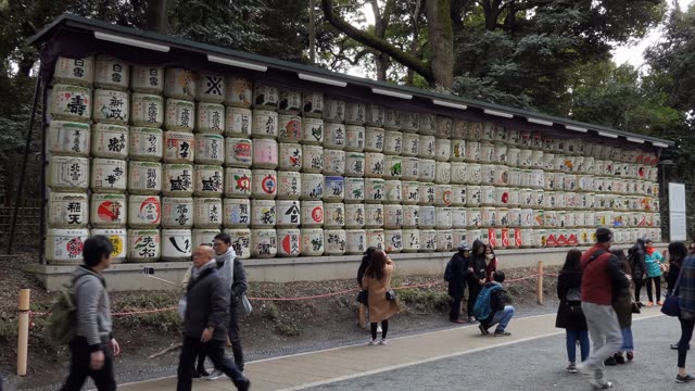 Shaved Temple Stock Footage: Royalty-Free Video Clips - Storyblocks