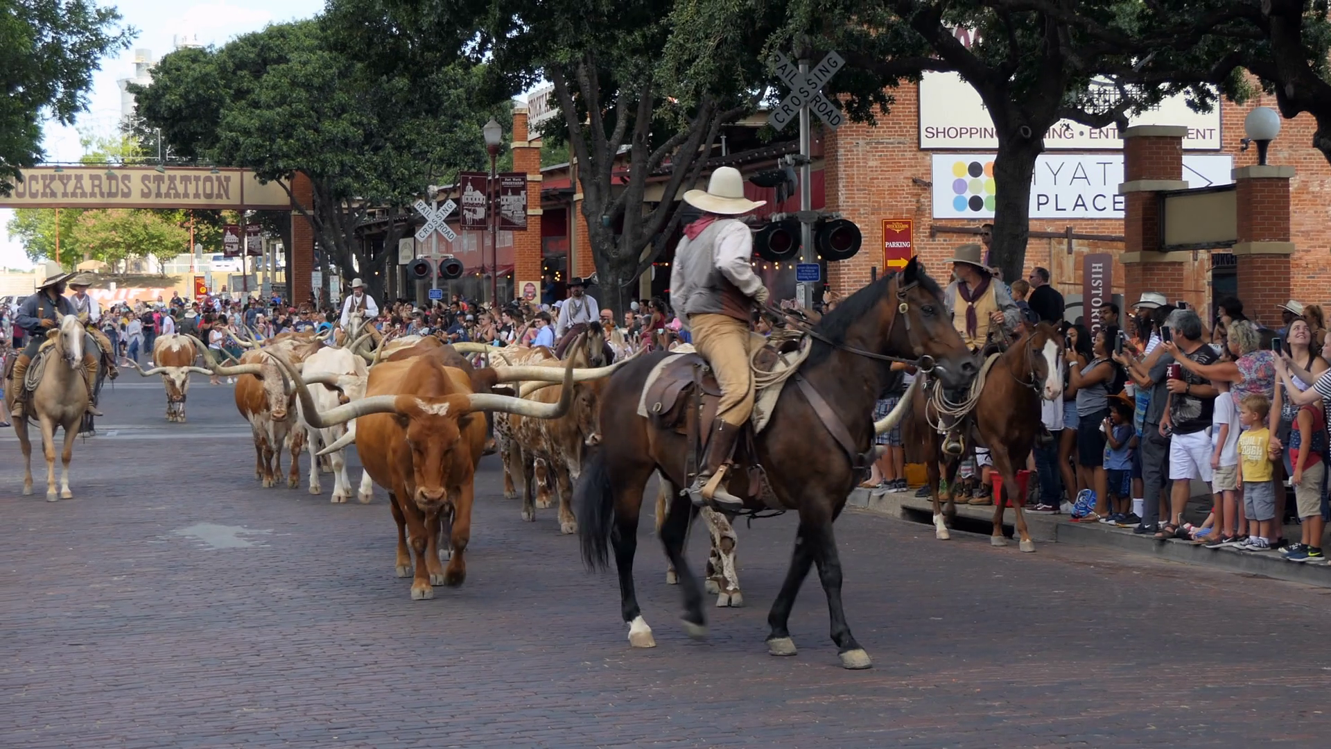 The Fort Worth Stockyards Historic District Stock Footage SBV-327809048 ...
