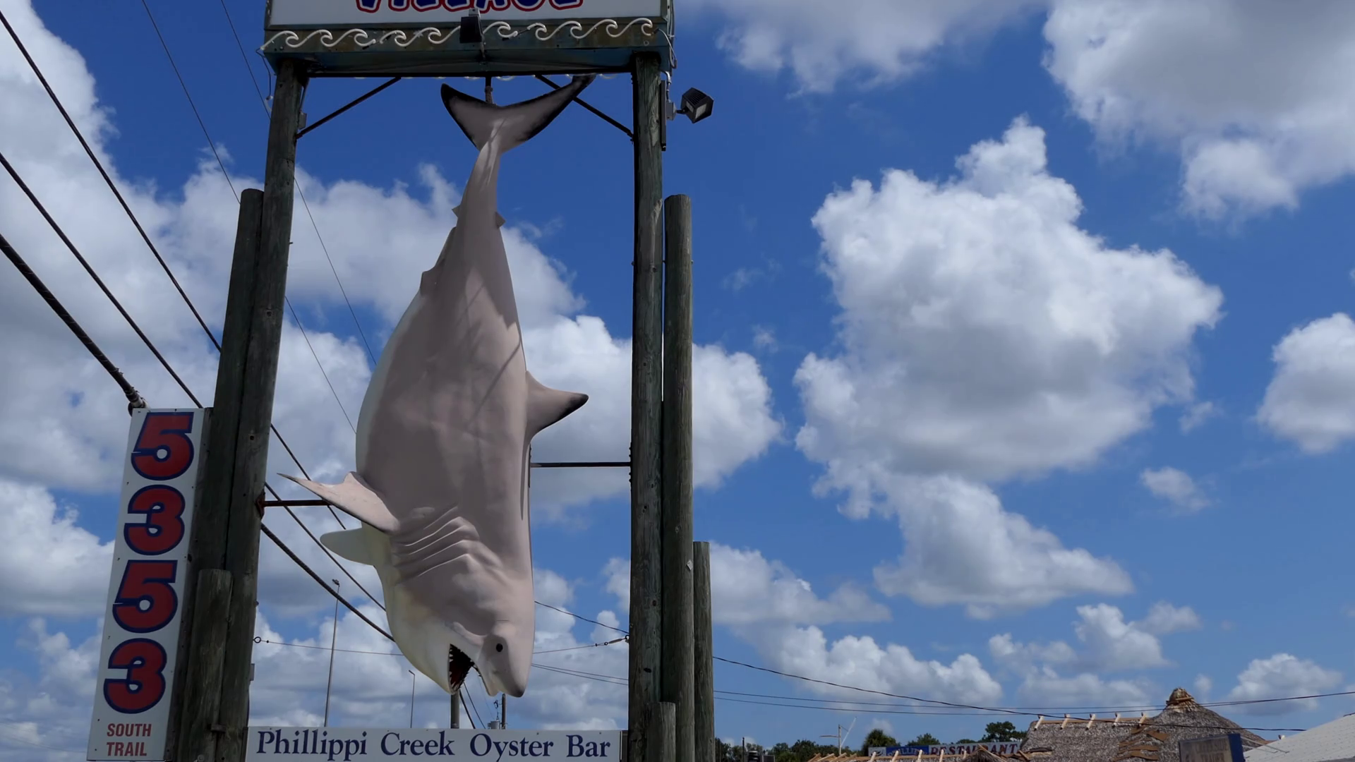 Trophy Of Great White Shark Caught In Stock Footage SBV-326848628 ...