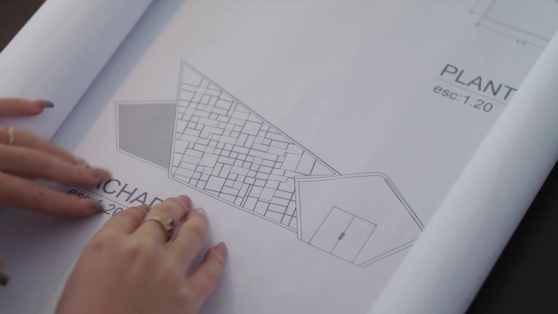 Woman Working Architect Reading Blueprint Stock Footage SBV-323001352 ...