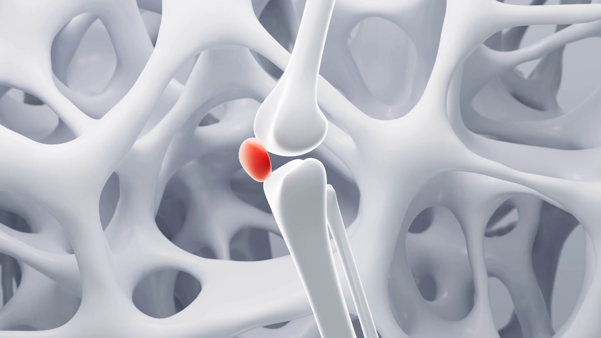 Human Joint Bones Porous Skeletal Framework Stock Motion Graphics SBV ...