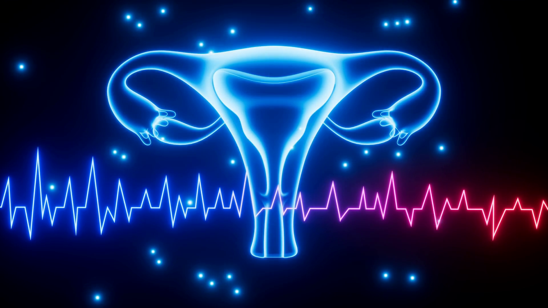 Uterus Menstrual Cycle Gynecological Health Stock Motion Graphics SBV ...