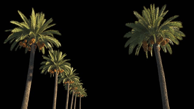 Ocean Green Screen | Holidays and Celebrations motion backgrounds ...