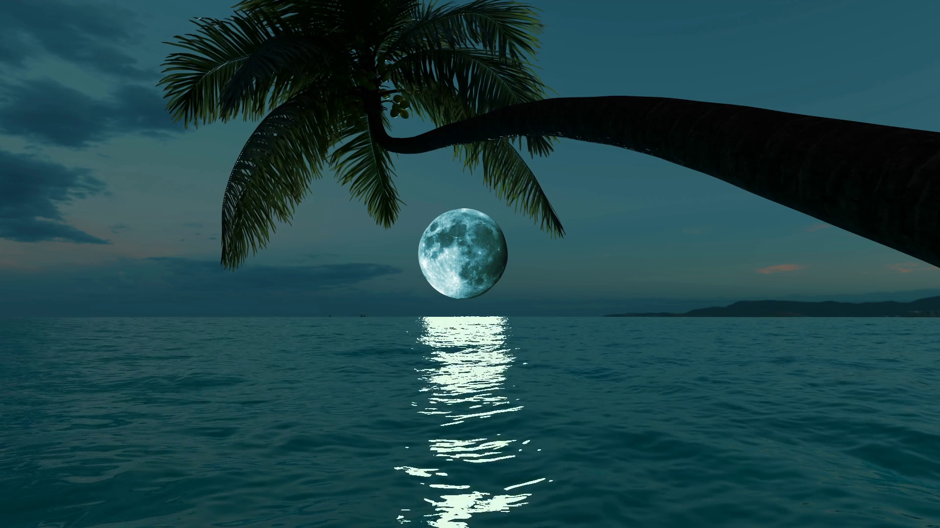 Palm Tree Over Water Sea On Moonlit Night Stock Motion Graphics SBV ...