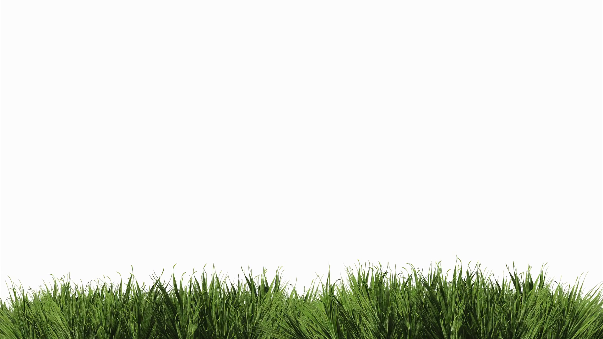 Animation Of Very Real Grass In Wind On Stock Motion Graphics Sbv 338378394 Storyblocks
