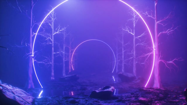 Download 30 Forest Background Loop Motion Backgrounds - Storyblocks