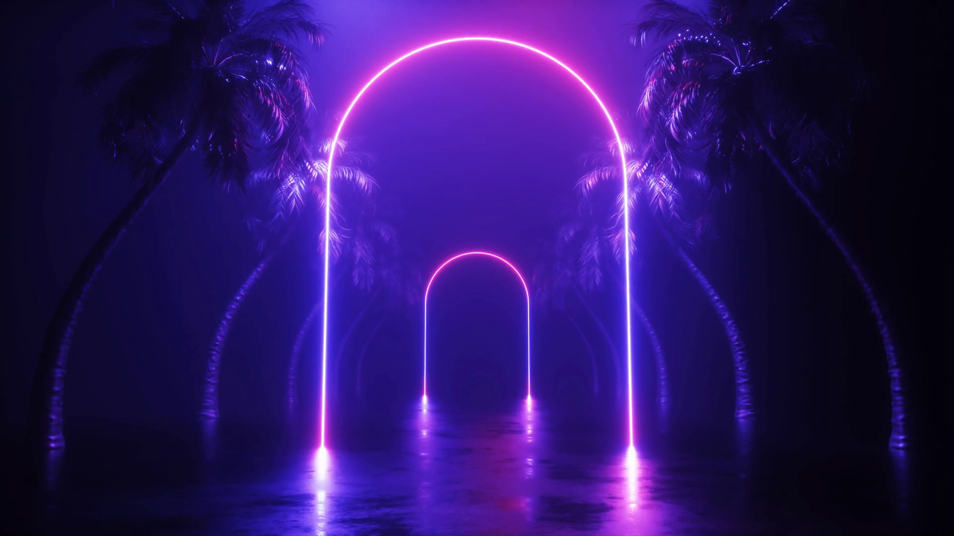Neon Glowing Frames Movment With Palms Stock Motion Graphics SBV ...