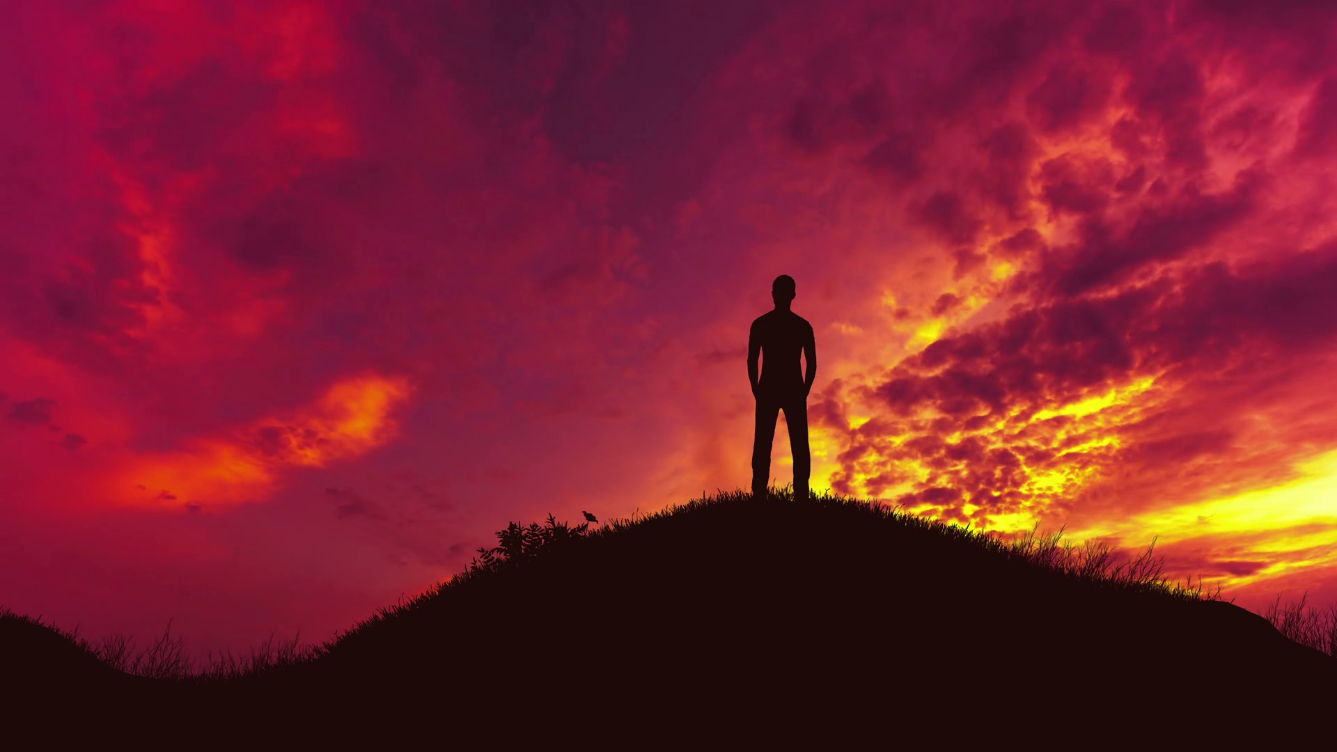 5 In 1 Video! Man Stand Alone On Background Stock Motion Graphics SBV ...