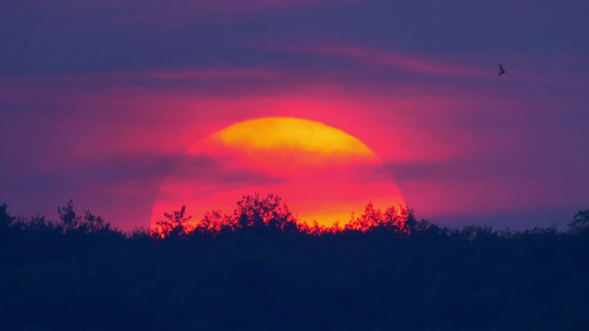 The Picturesque Red Sunset With Bright Stock Footage SBV-311851265 ...