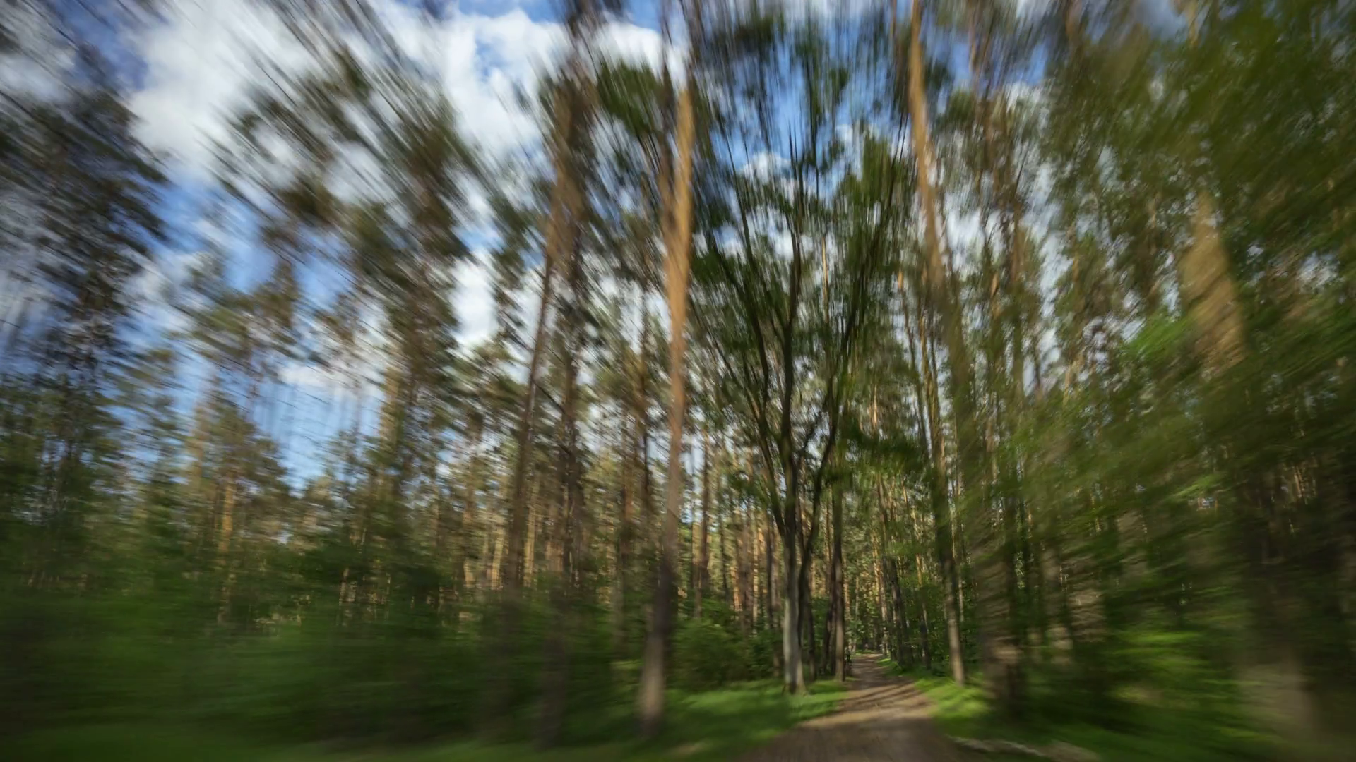 Walking Through Enchanting Forest: Time Stock Footage SBV-310711377 ...