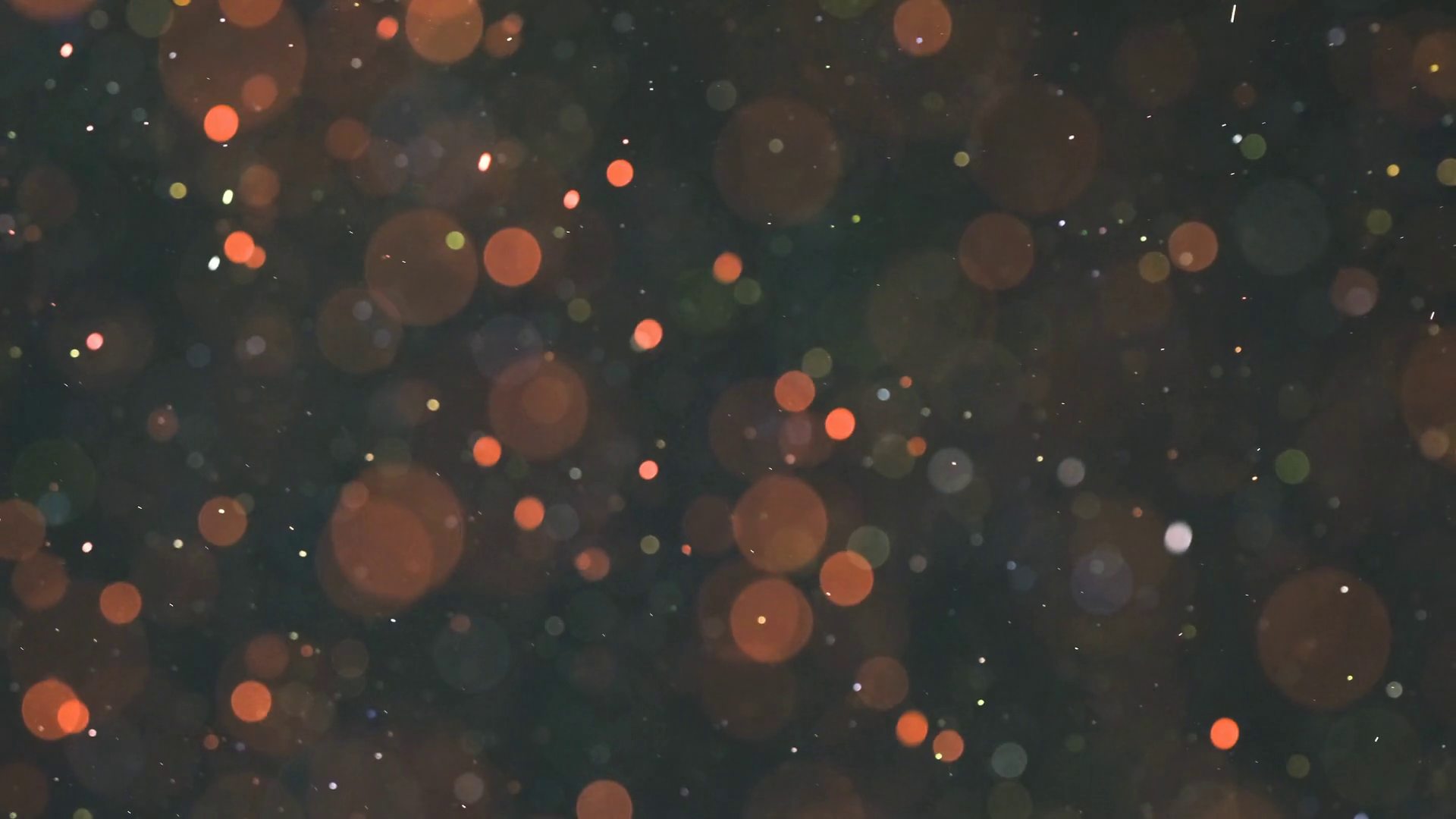 The beautiful floating of shimmering particles. slow motion Stock Video ...