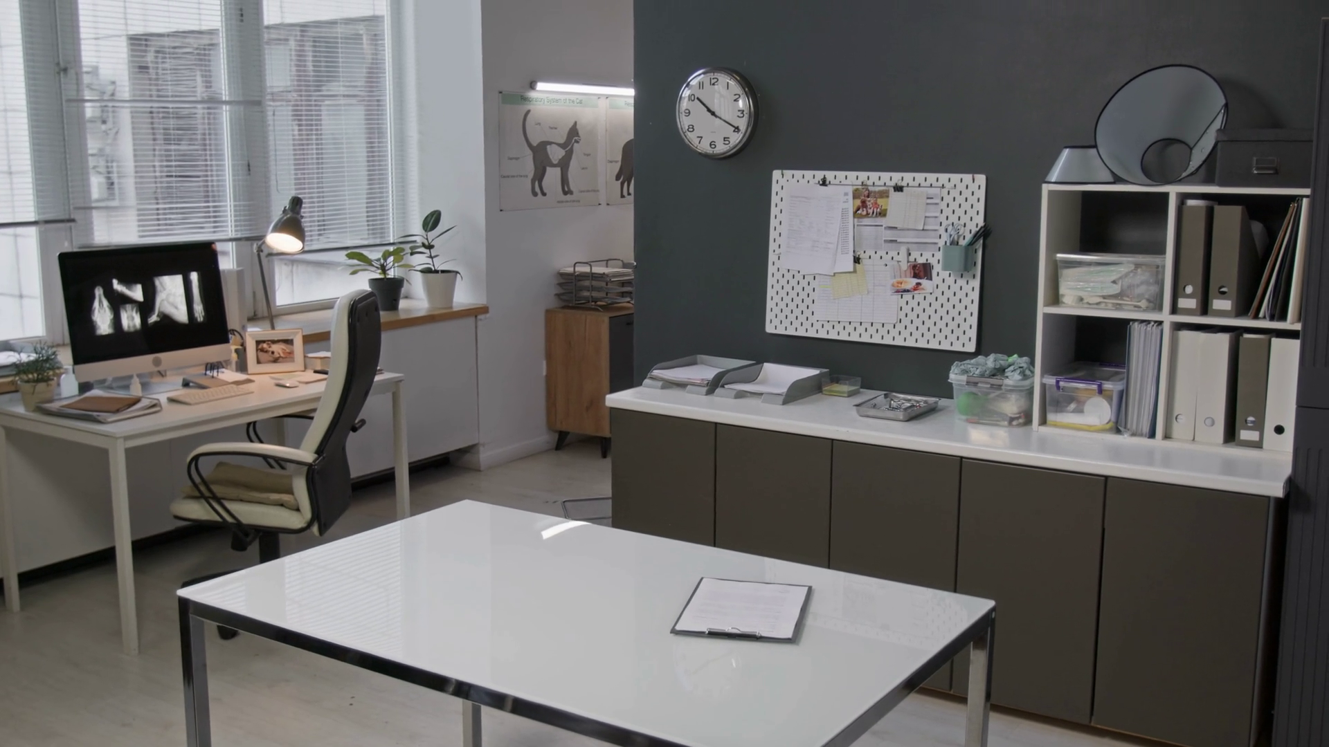 Interior Of Modern Veterinary Office With Stock Footage SBV-351942482 ...