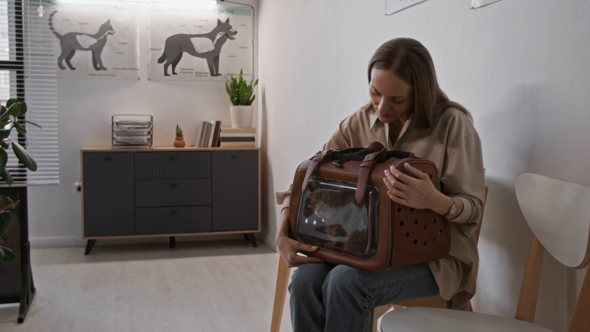Female Pet Owner Sitting With Brown Tabby Stock Footage SBV-351943302 ...