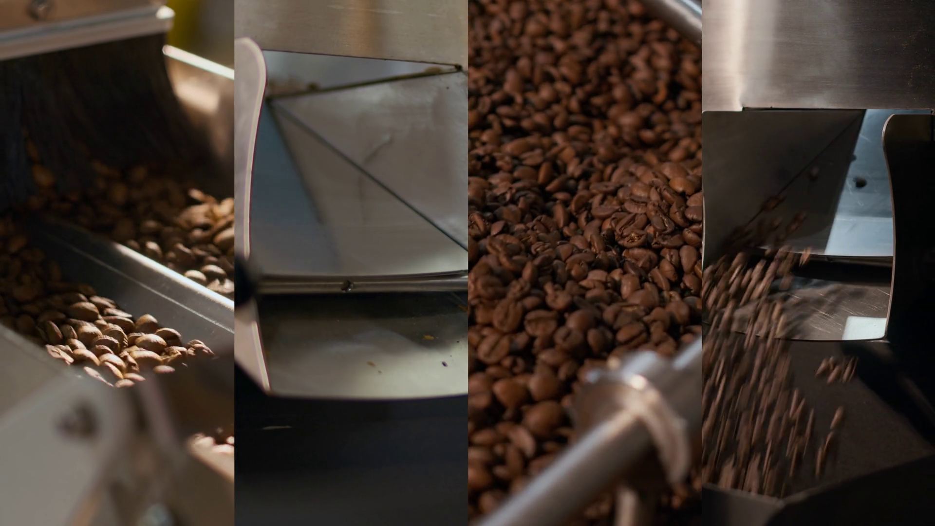 Split Screen Of Coffee Beans Being Processed Stock Footage SBV ...