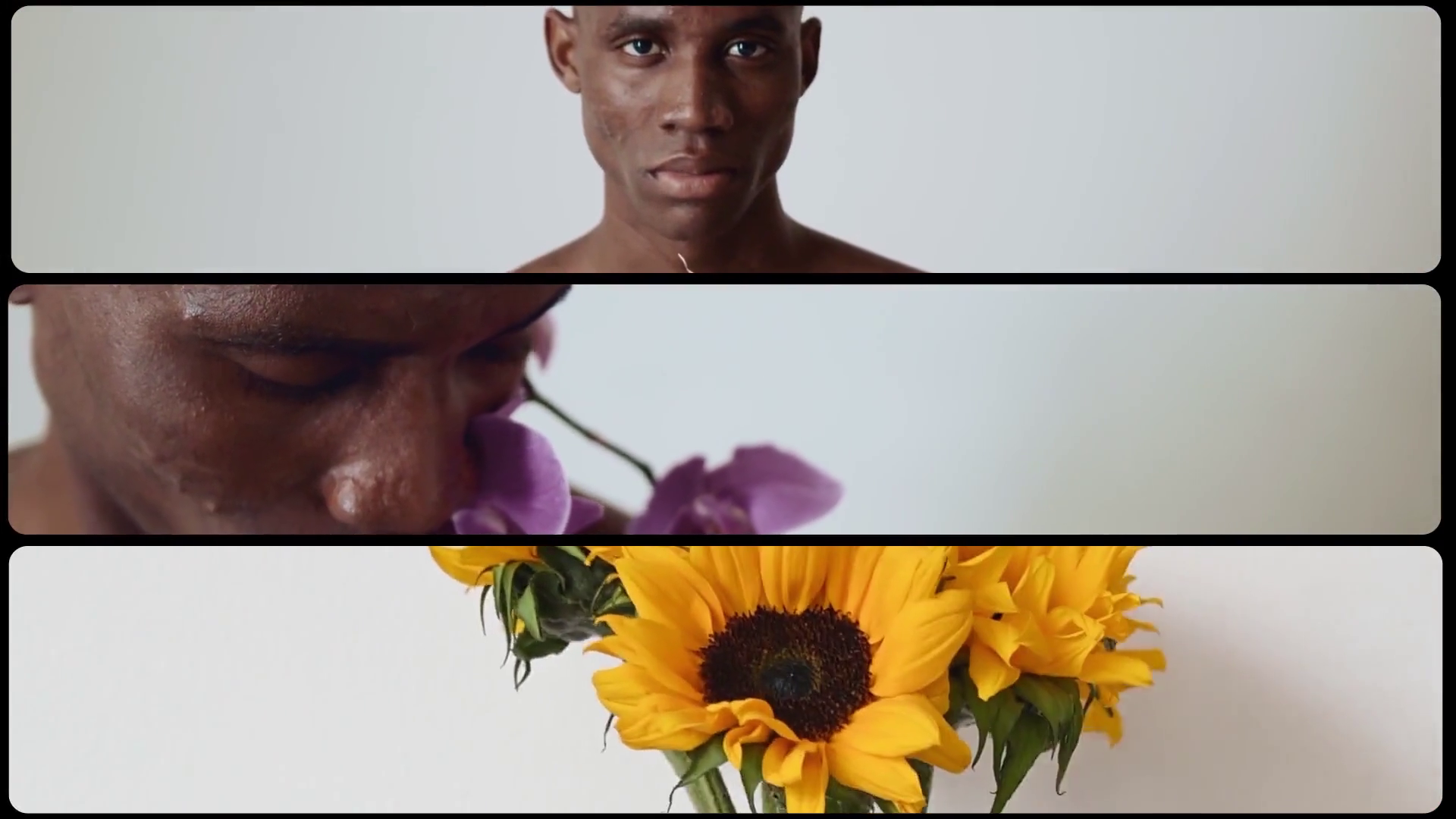 Premiere Pro Template: Bento Scroll Transitions 3 Frames Premiere SBV ...