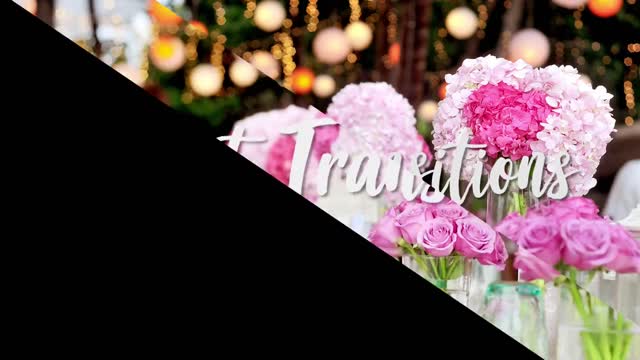 Wedding Transitions Templates Royalty-Free - Storyblocks