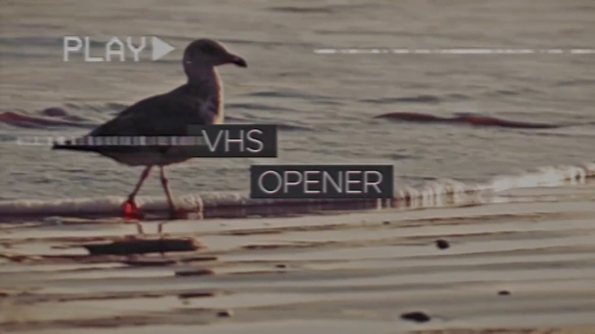 Premiere Pro: VHS Opener 00:21 SBV-347008262 - Storyblocks