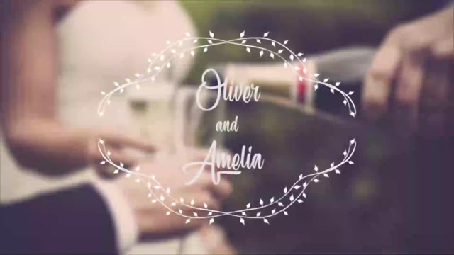 Character Intro Templates Royalty Free Page 2 Storyblocks