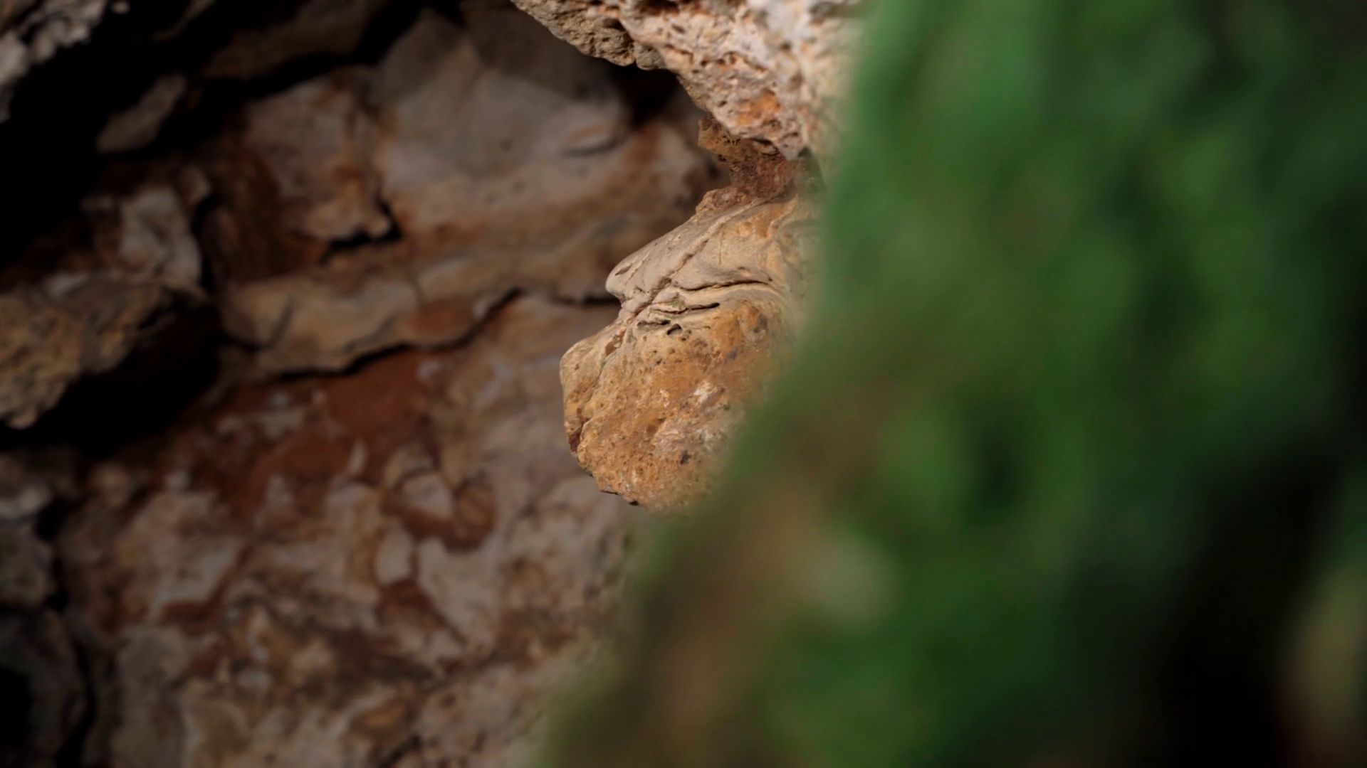 Prehistoric Cave Ceiling Detail Medium Shot Stock Footage SBV-347772031 ...