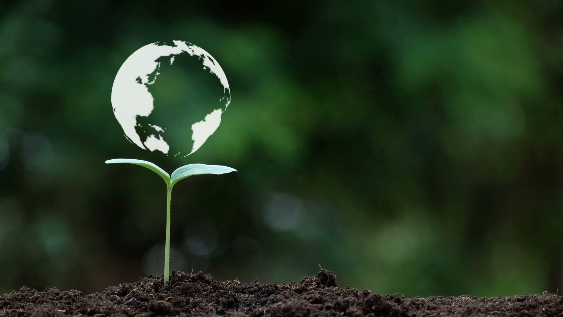 Planting Tree Earth Rotation Hologram Save Stock Footage SBV-325764622 ...