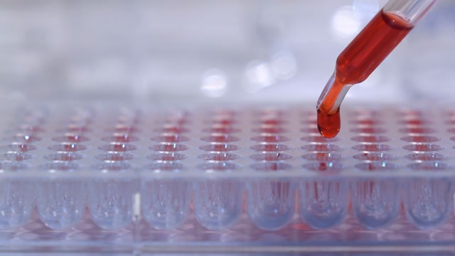 Animal Testing Stock Footage: Royalty-Free Video Clips - Page 2 ...