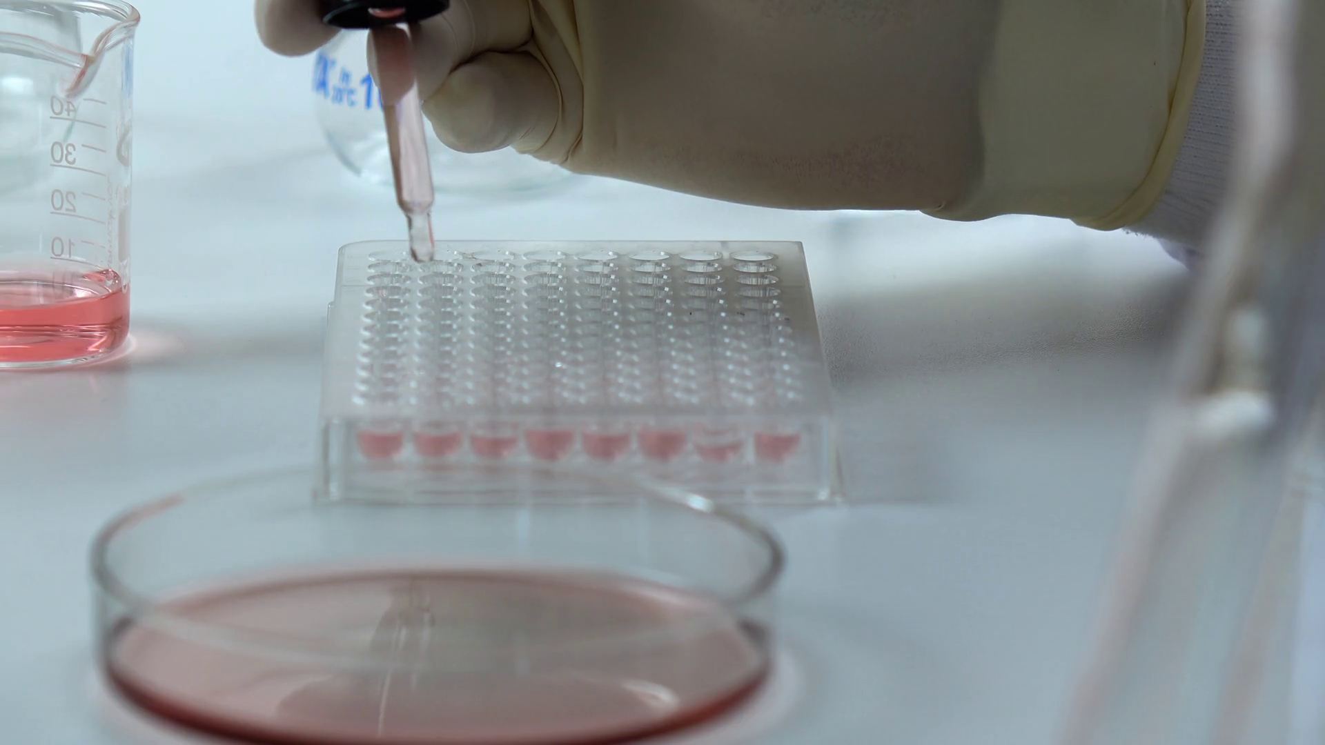 Scientist Testing Dna Biochemistry In Stock Footage SBV-338113934 ...