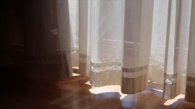 Ephemeral Stock Footage: Royalty-Free Video Clips - Storyblocks