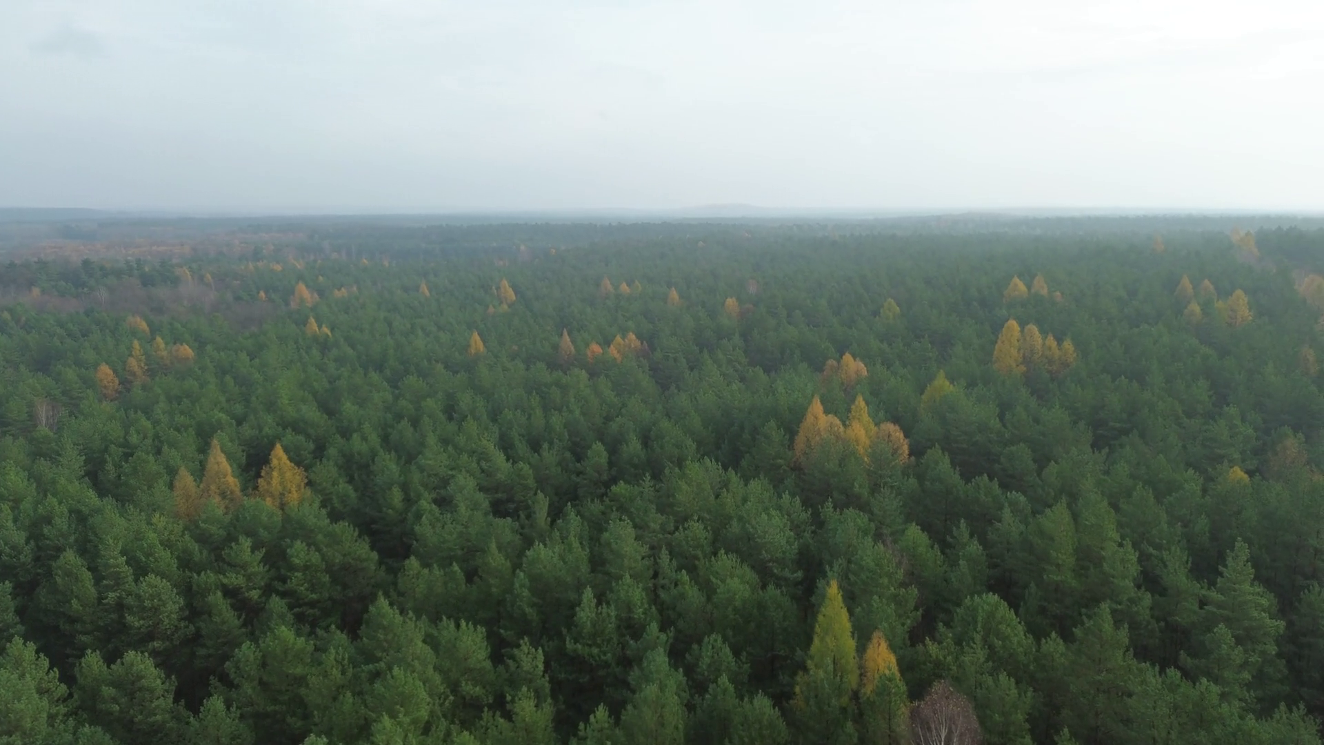 "beautiful Scenery Of Changing Seasons In Stock Footage SBV-353414480 ...