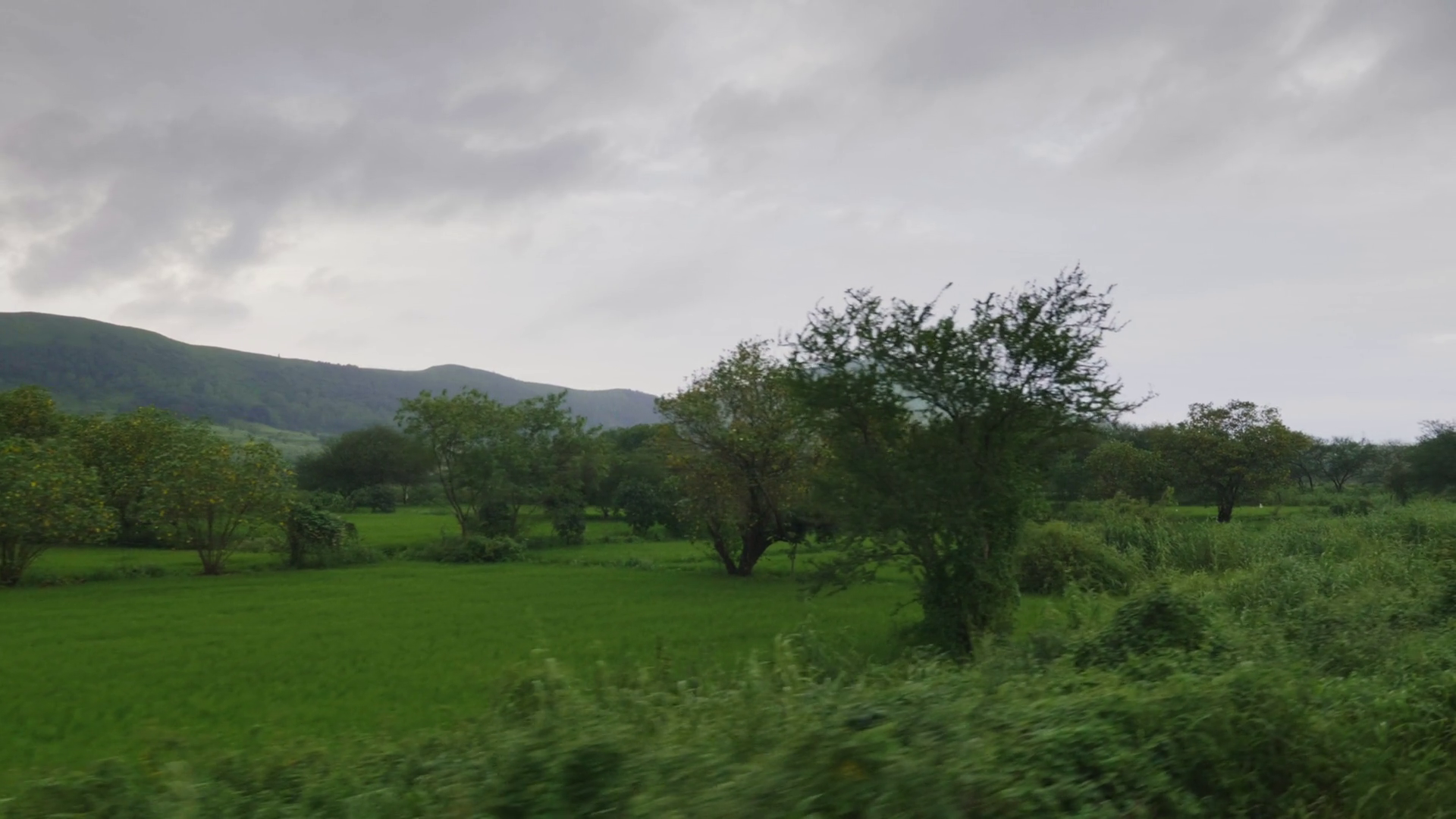 A Scenic Green Monsoon Landscape With Stock Footage SBV-348730708 ...