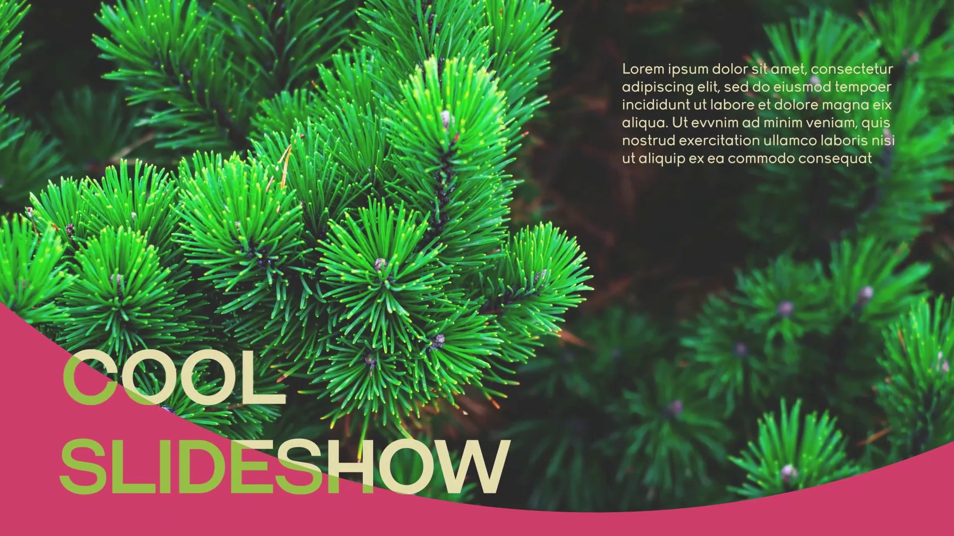 Cool Slideshow Storyblocks