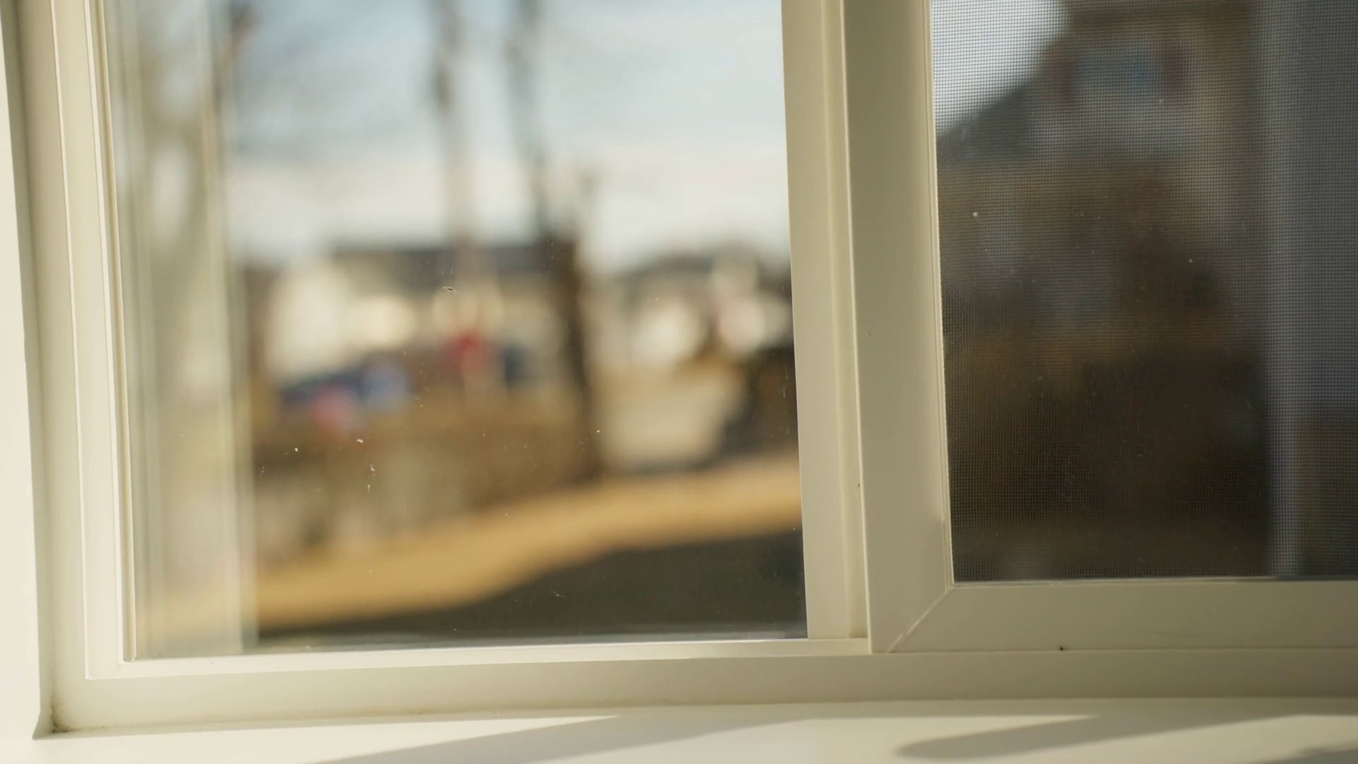 Close-up Shot Of African American Stalker Stock Footage SBV-347469038 ...