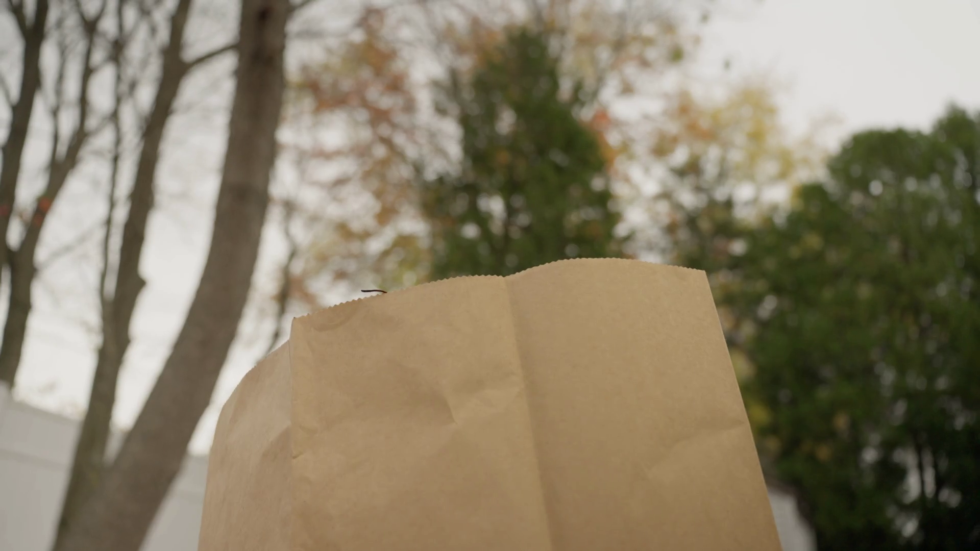 Low Angle Shot Of Busy Man Collecting Leaves Stock Footage SBV ...