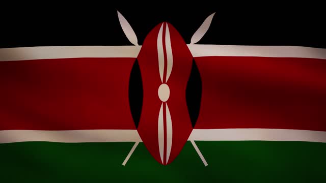 National Symbols Stock Footage: Royalty-Free Video Clips - Storyblocks