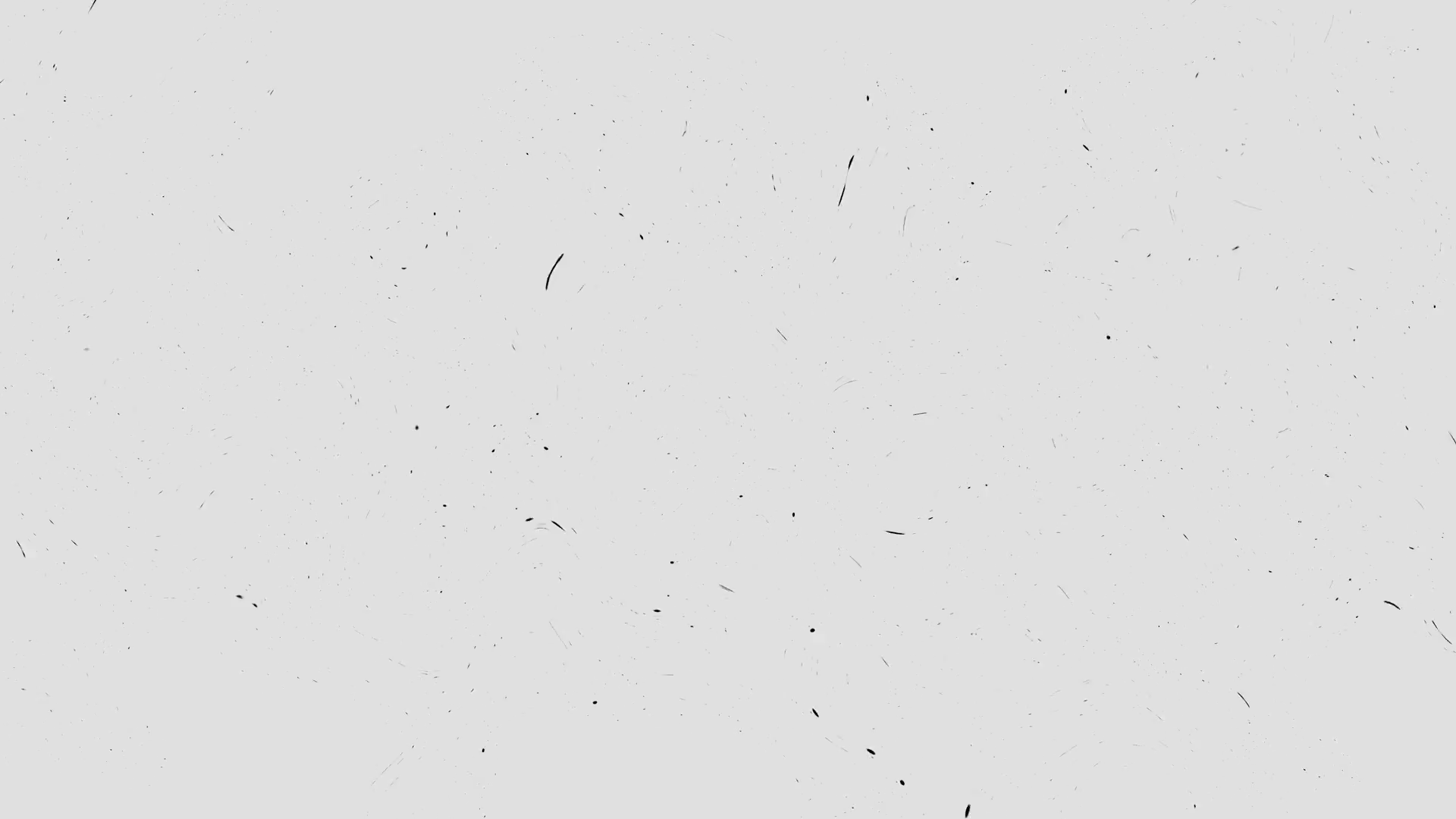 Noise Film Overlay V 17 Stock Footage SBV-352547878 - Storyblocks