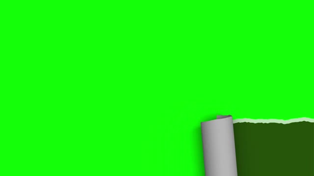 Lower Third Overlay Stock Footage: Royalty-Free Video Clips - Storyblocks