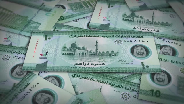 Dubai Sheikh Money Stock Footage: Royalty-Free Video Clips - Storyblocks