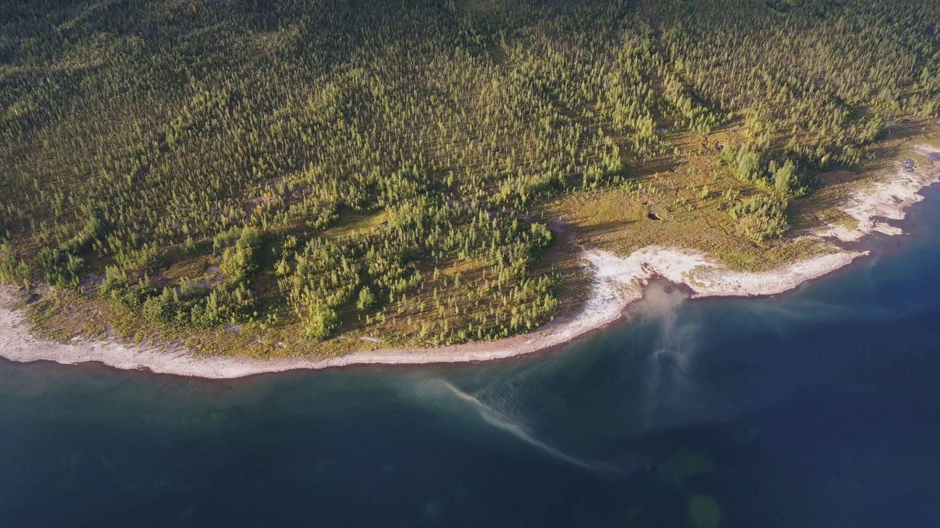 Aerial View Of Taiga Fringe Pale Beach At Stock Footage SBV-352857771 ...