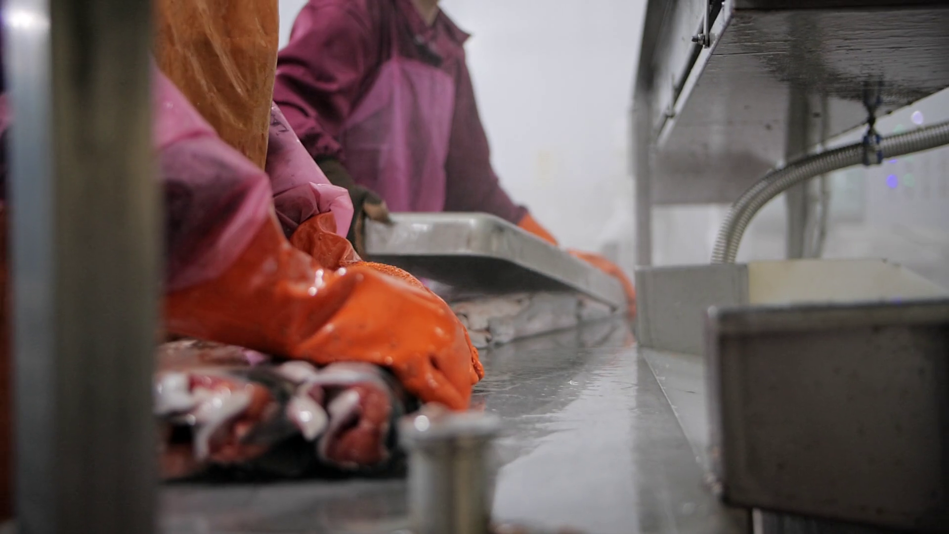 Flash Freezing Process Captured In Slow-mo Stock Footage SBV-348809469 ...