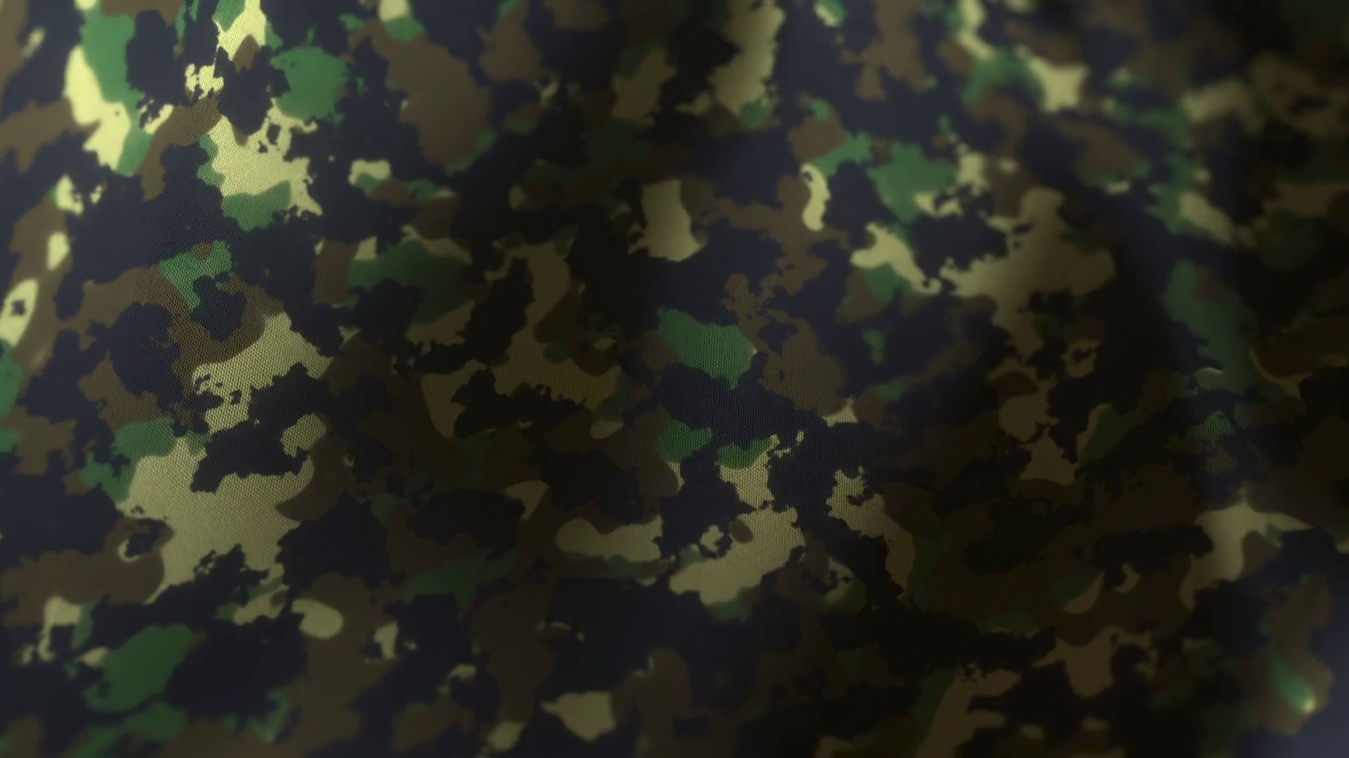 Animation On Military Camouflage Fabric Stock Motion Graphics SBV ...